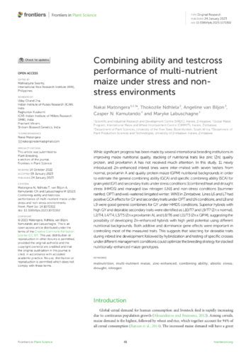 Combining Ability And Testcross Performance Of Multi Nutrient Maize Under Stress And Non Stress