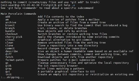 How To Install Git On Aws Ec2 Amazon Linux 2