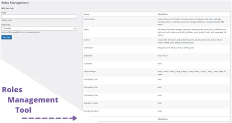 Role And Customer Based Pricing By Meow Crew Woocommerce