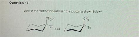 Solved What Is The Relationship Between The Structures Shown