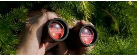 Adeyinka Adejumo On Linkedin Cybersecurity Reconnaissance Dataprotection