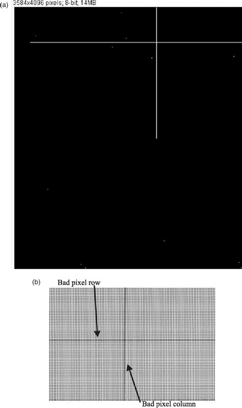 A Example Of A Dead Pixel Map Grey Dots Represent Clusters Of Dead