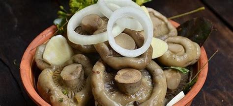 Хрустящие соленые белые грузди - рецепт с фото
