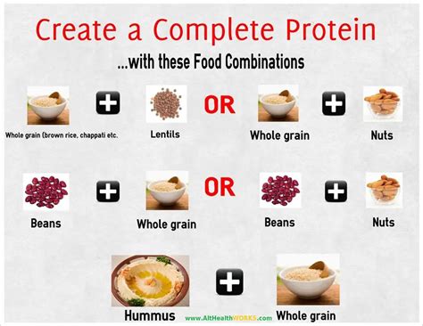 Vegetarian Protein No Eggs At Thelma Cloud Blog