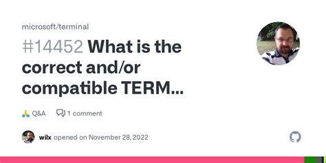 What Is The Correct And Or Compatible Term Environment Variable Value · Discussion 14452