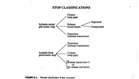 Consonants Flashcards Quizlet