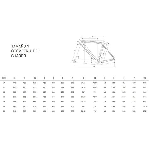 Bianchi Oltre Xr4 Cv 2023 Road Frame Green Bikeinn