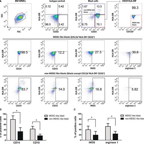 The Immunosuppressive Function Of Cd11b⁺cd33⁺hla‐dr⁻ Mdsc‐like Blasts