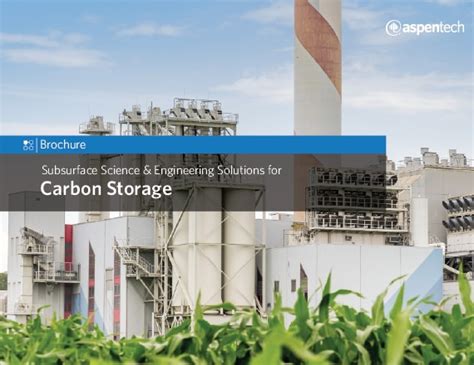 Subsurface Science And Engineering Solutions For Carbon Storage