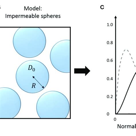 Tumor Tissue Modeling Intracellular Diffusion Electron Micrograph