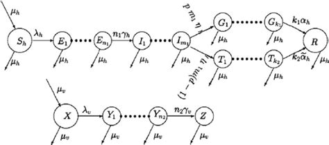 A Flow Chart Of The State Progression Between Epidemiological Classes Download Scientific