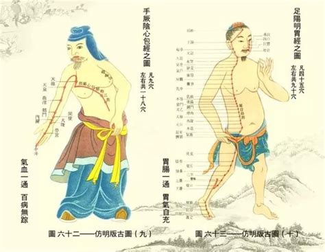 胆经经络走向图 大山谷图库