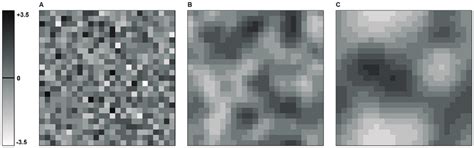 Environmental Spatial Structure For Three Degrees Of Spatial Download Scientific Diagram
