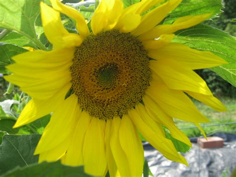 Asset Dynamic Practice Test