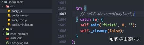 解决vue中vue Cli项目报错sockjsjs报错 知乎