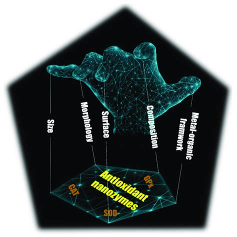 Manipulation Of Antioxidant Nanozymes Exhibiting Cat Sod And Download Scientific Diagram