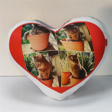 Cojin Corazon Con Foto Cdi