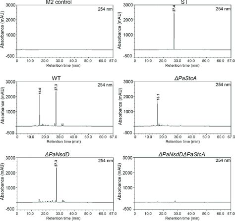 High Performance Liquid Chromatography Uv Hplc Uv Detection Of Download Scientific Diagram