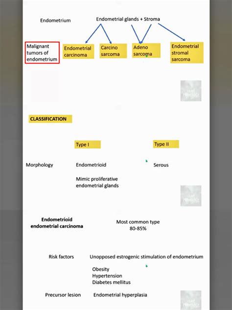 Ca Endometrium Pdf