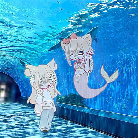 Captivating Gacha Mermaid Characters And Outfits