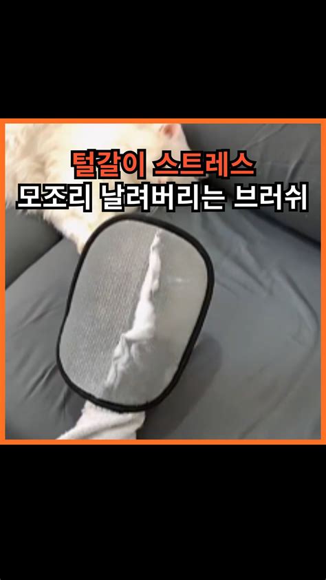센스있는 선물이 필요할때 선물마켓 두부입니다 간장을 곁들인 👇🏻 이런분에게 선물 어떠세요 1 남자친구가 헬창이신 분 2 흑백요리사를 보고 요리가 하고 싶어지신