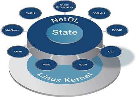 Network Operating System