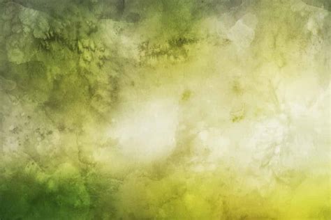 The Casey Anthony Trial And Wrongful Exonerations How Trial By Media