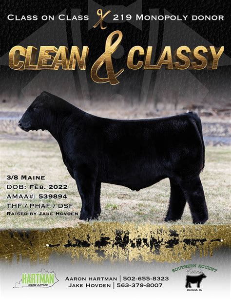 Saf Clean And Classy • Cattle Visions • Premier Multi Breed Online Semen