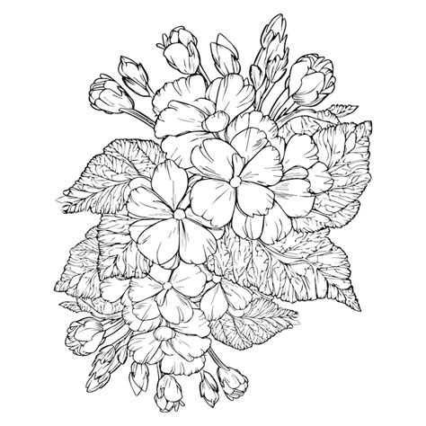 Zartes Primel Tattoo Primel Tattoo Bedeutung Von Primel Skizzenkunst