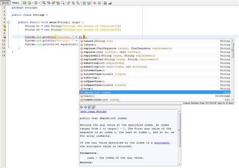 String Functions Java Programming For Beginners Book