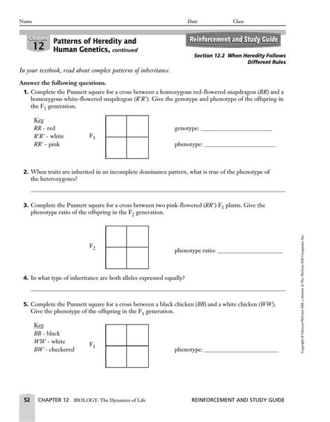 ️understanding Inheritance Worksheet Free Download