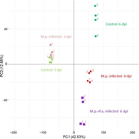 Pca With Filtered Data Set Batch Effects Removed By Ruvr Method From Download Scientific