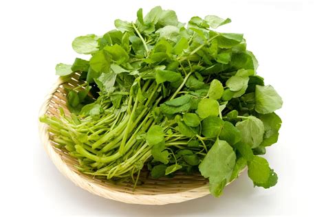 The 5 Most Nutrient Dense Vegetables Based On Science