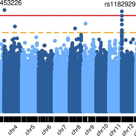 Manhattan Plot The Manhattan Plot Visualizes The Association Of Snps Download Scientific