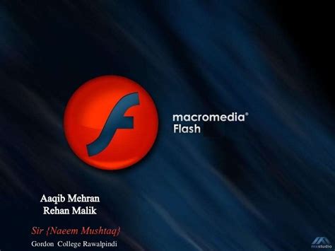 macromedia flash presentation2