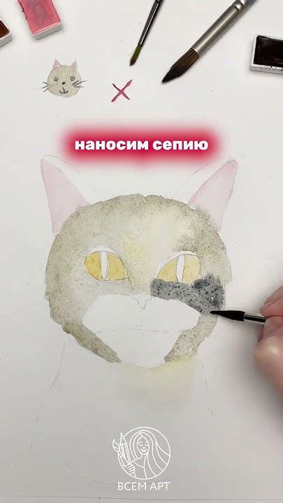 Как нарисовать мордочку кота акварелью Короткие уроки рисования от Всем Арт Short Shorts
