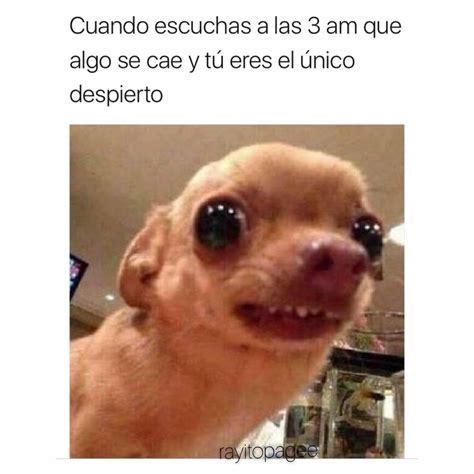 Discover 220 Spanish Memes 1 Ideas On This Pinterest Board Spanish Memes Memes Funny Memes