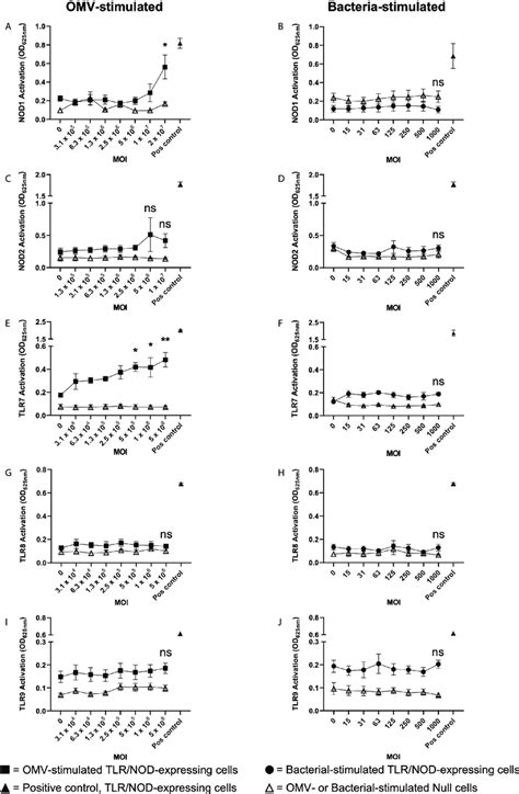 B Fragilis Omvs Activate Nod1 And Tlr7 Whereas B Fragilis Bacteria Download Scientific Diagram