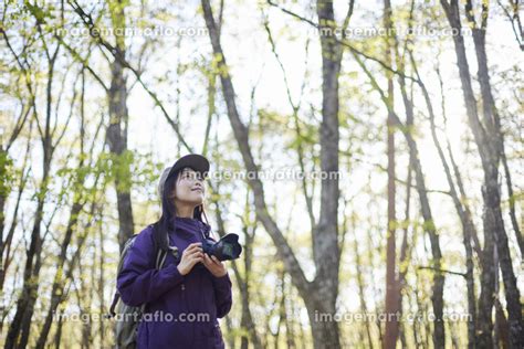 夏の森で趣味の撮影を楽しむ30代日本人女性のカメラマン （人物）の写真素材 [222154998] イメージマート
