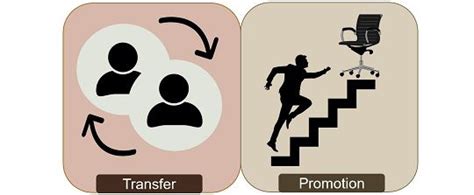 Difference Between Transfer And Promotion With Comparison Chart Key