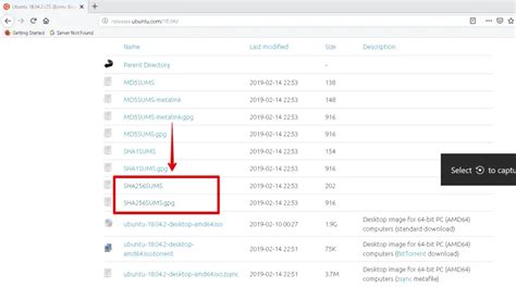How To Verify A Download In Ubuntu With SHA256 Hash Or GPG Key VITUX