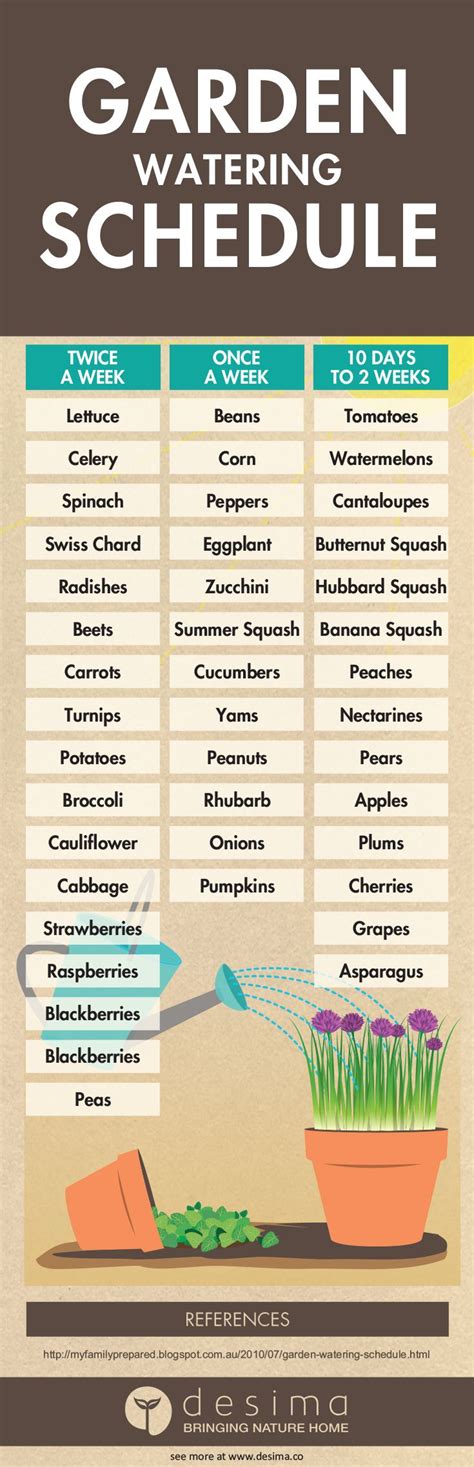 Watering Guide For Vegetables Creative Vegetable Gardener Secrets To