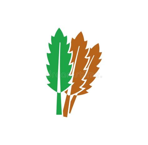 用于图形和web设计的背景上与叶相关的图标 用于web或移动应用的创意插图概念符号 向量例证 插画 包括有 增长 生态系 178900597