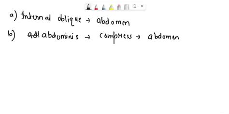 Solved Answer The Following Question Using The Image Below 2pts 19a Select All The Following