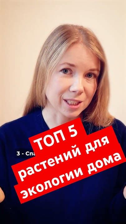 ТОП 5 растений для дома которые очищают воздух и улучшают экологию здоровыйдом Youtube
