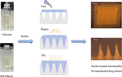 Steps For The Preparation Process Of Microneedles Download Scientific Diagram