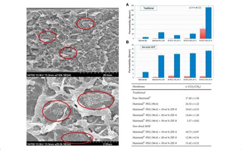 Zeolitic Imidazolate Framework Zif 8 Agglomeration In Download Scientific Diagram