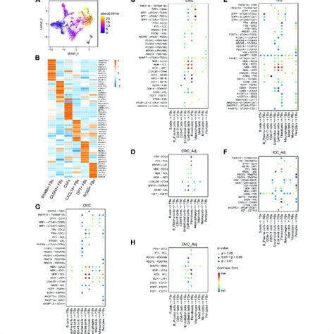 Col11a1 Fibroblasts Specifically Exist In Tumor Tissues A Umap Download Scientific