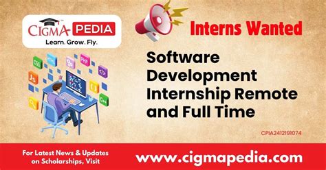 Software Development Internship Remote And Full Time By Samo Softwares How To Apply For