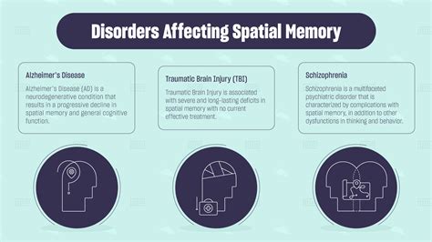 Spatial Memory In Rodents And Humans Maze Engineers